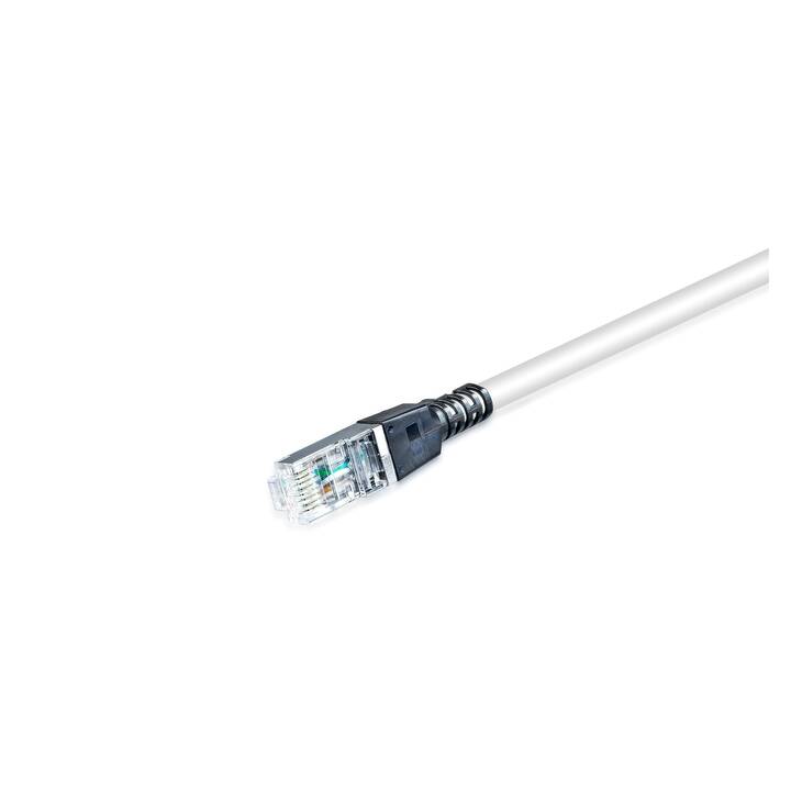WIREWIN Câble réseau (RJ-45, 2.5 m) - Interdiscount