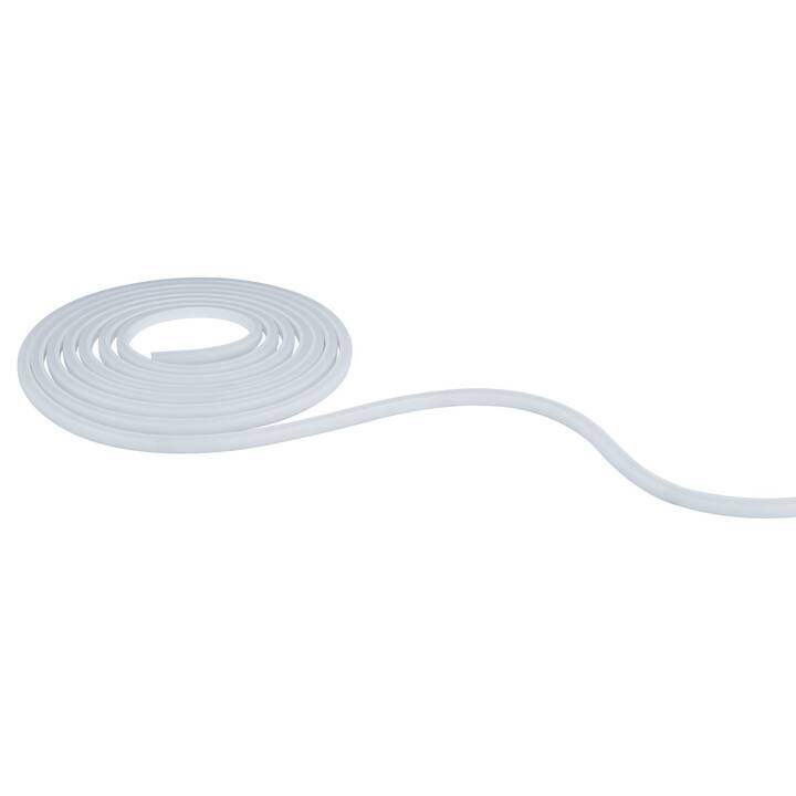 PAULMANN MaxLED Flow LED Light-Strip (500 cm, 5000 lm) - Interdiscount