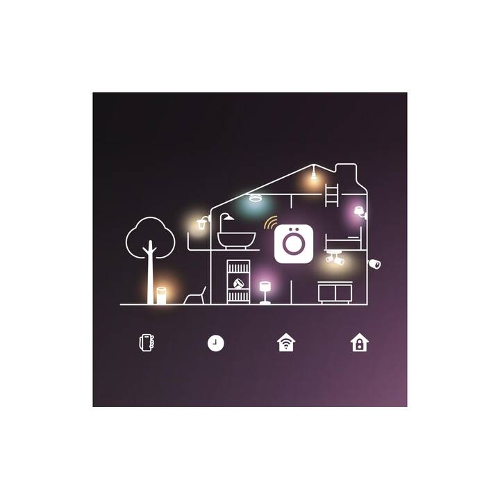 PHILIPS HUE Flux Gradient LED Light-Strip (300 cm, 1200 lm) - Interdiscount
