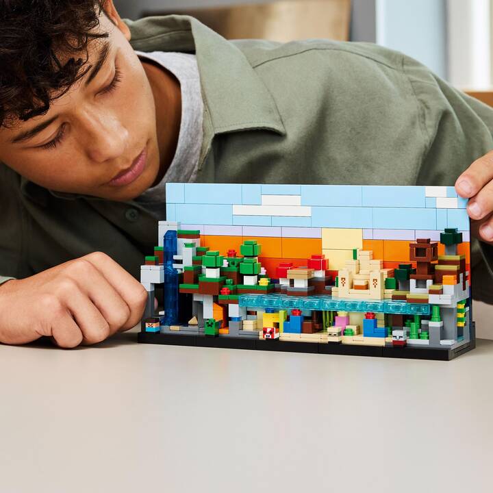 LEGO Minecraft Mini-Biome (21589) - Interdiscount
