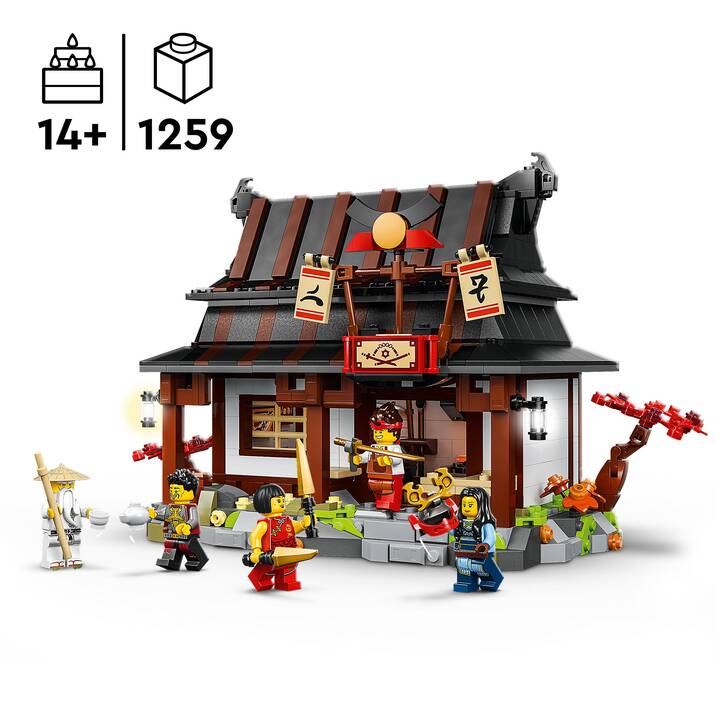 LEGO NINJAGO 15-jähriges Jubiläum der Vier-Waffen-Schmiede (71858 ...