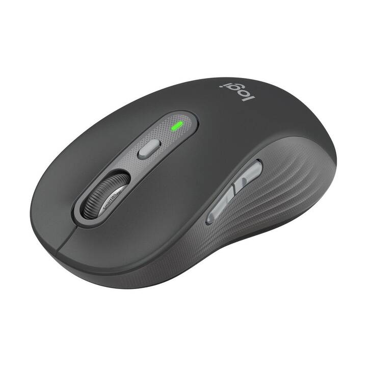 LOGITECH Signature M750 Souris Bluetooth (Câble, Office, Graphite ...