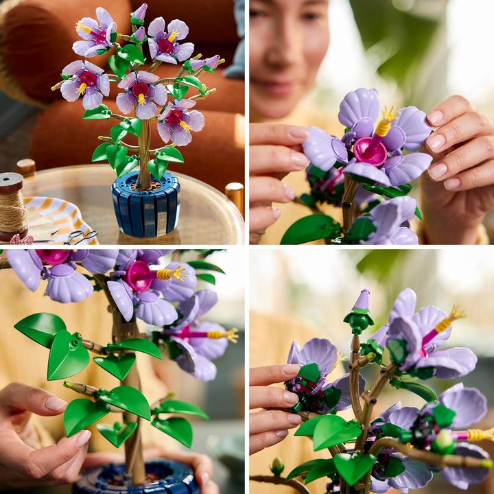 LEGO Botanicals Hibiskus (10372, seltenes Set) - Interdiscount
