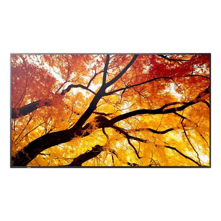 SHARP MultiSync PN-M752 (74.5", LED) - Interdiscount