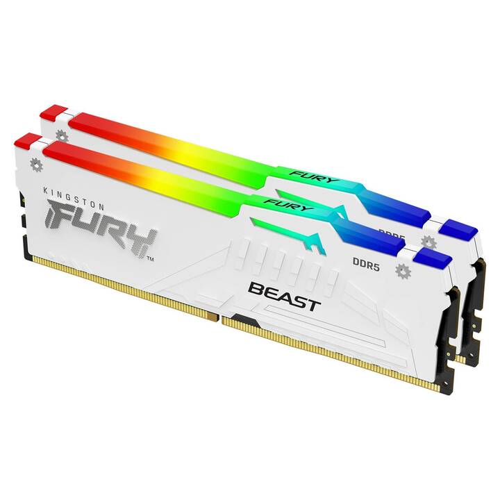 KINGSTON TECHNOLOGY FURY Beast KF556C40BWAK2-64 (2 x 32 Go, DDR5 5600 ...
