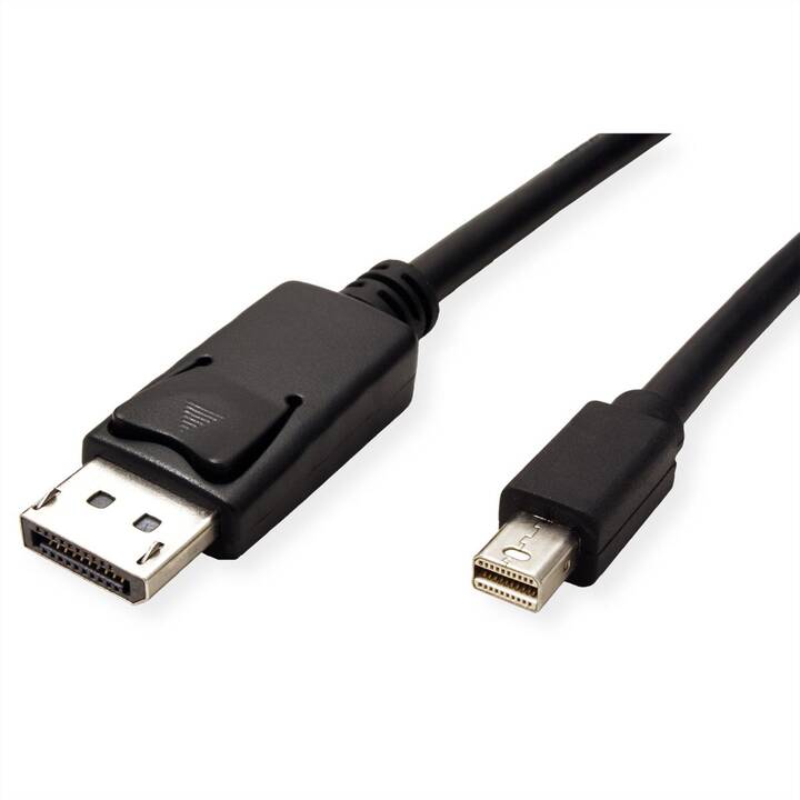 ROLINE Câble de connexion (Port écran, Mini DisplayPort, 2 m ...
