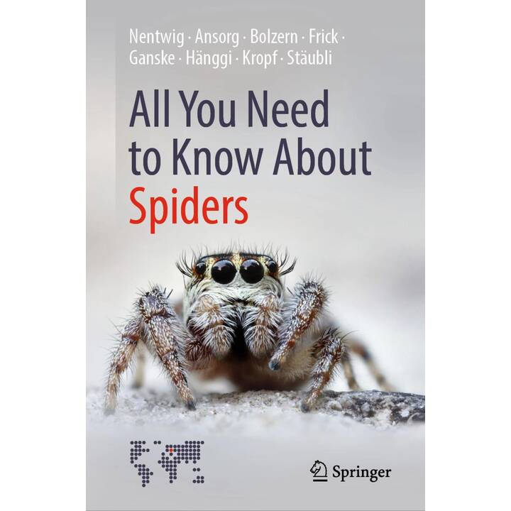 All You Need to Know About Spiders - Interdiscount