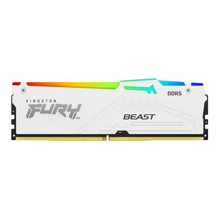 KINGSTON TECHNOLOGY FURY Beast KF556C40BWAK2-64 (2 x 32 Go, DDR5 5600 ...