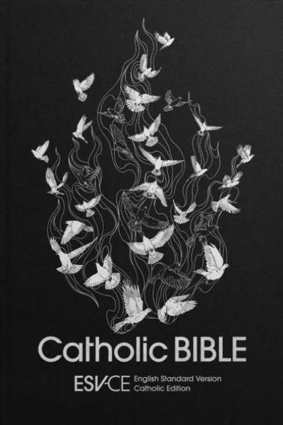ESV-CE Catholic Bible. The Official Liturgical Bible for England, Wales ...