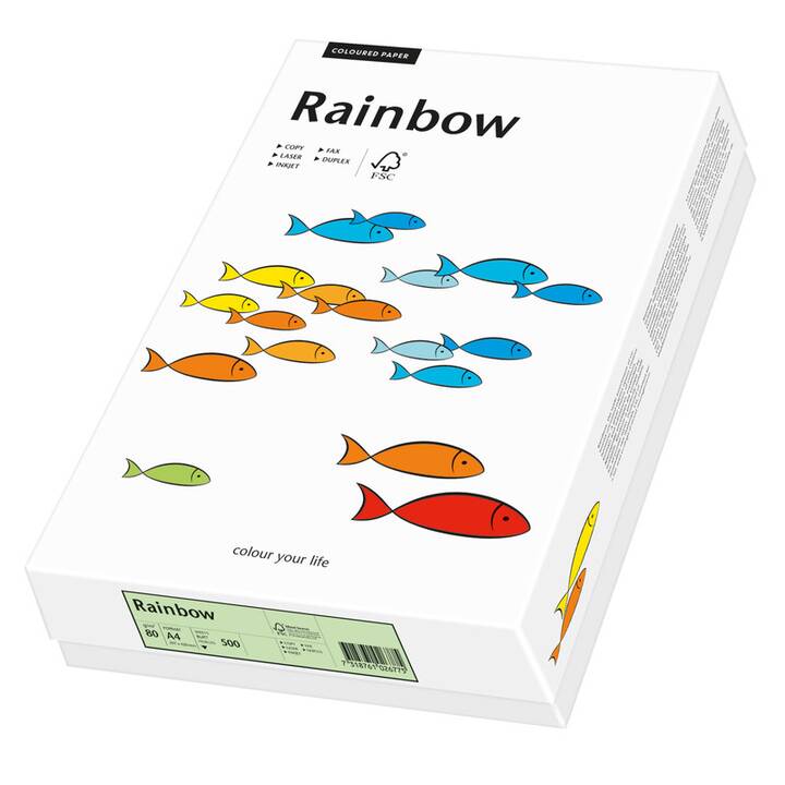 PAPYRUS Rainbow Farbiges Papier (Grün, A4, 250 Blatt, 120 g/m2 ...