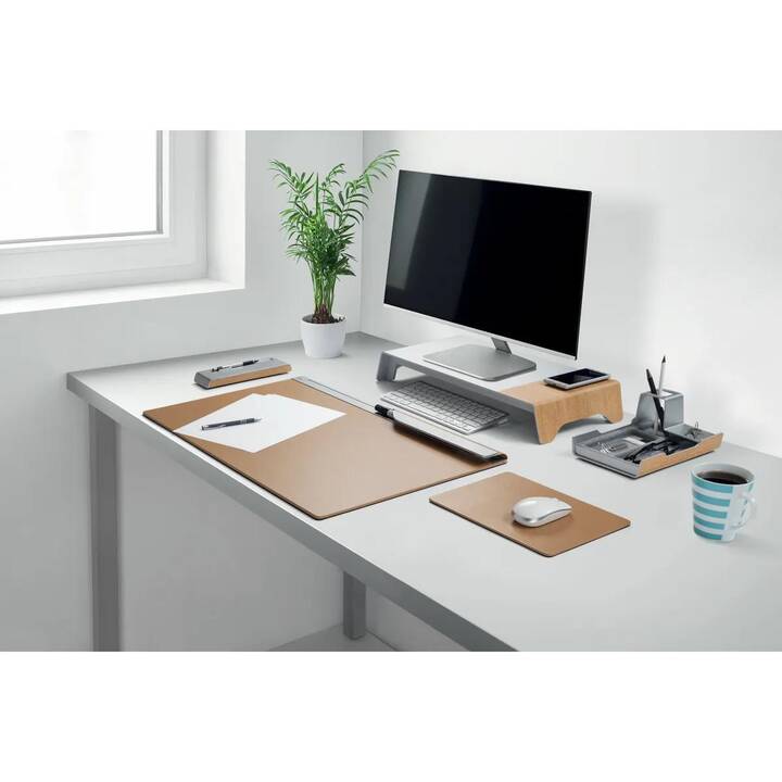 SIGEL Fixation à table (5 kg) - Interdiscount