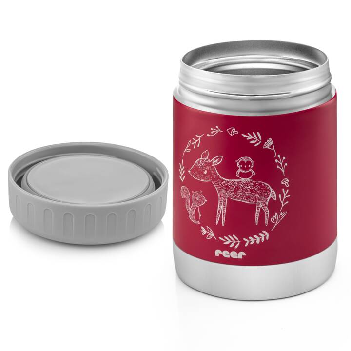 REER Récipients isothermes (300 ml, Plastique, Acier inox) - Interdiscount