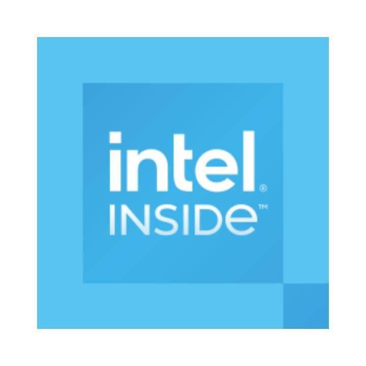 ACER Veriton NUC VN1502G (Intel N N150, Intel Integrated Graphics, Noir ...