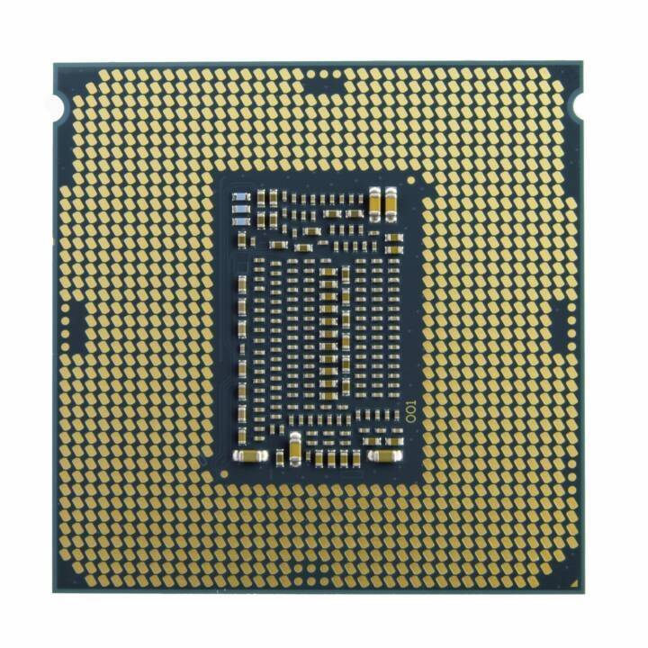 INTEL Xeon W-1250 (LGA 1200, 3.3 GHz) - Interdiscount