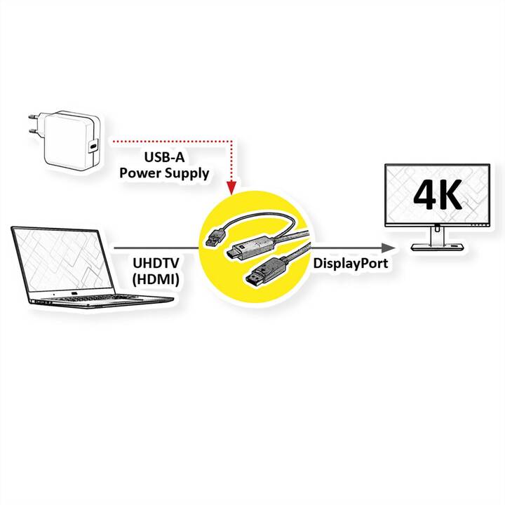 ROLINE Verbindungskabel (DisplayPort, USB Typ A, HDMI, 3 m) - Interdiscount
