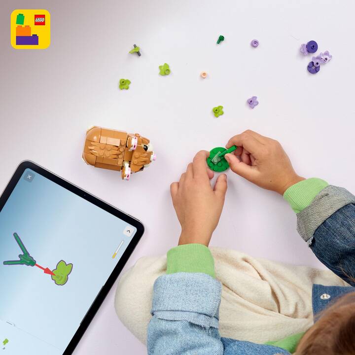 LEGO Creator 3-in-1 Niedlicher Hamster mit Blume (31376) - Interdiscount