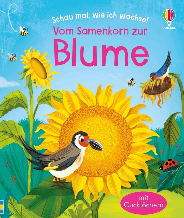 Vom Samenkorn zur Blume - Interdiscount