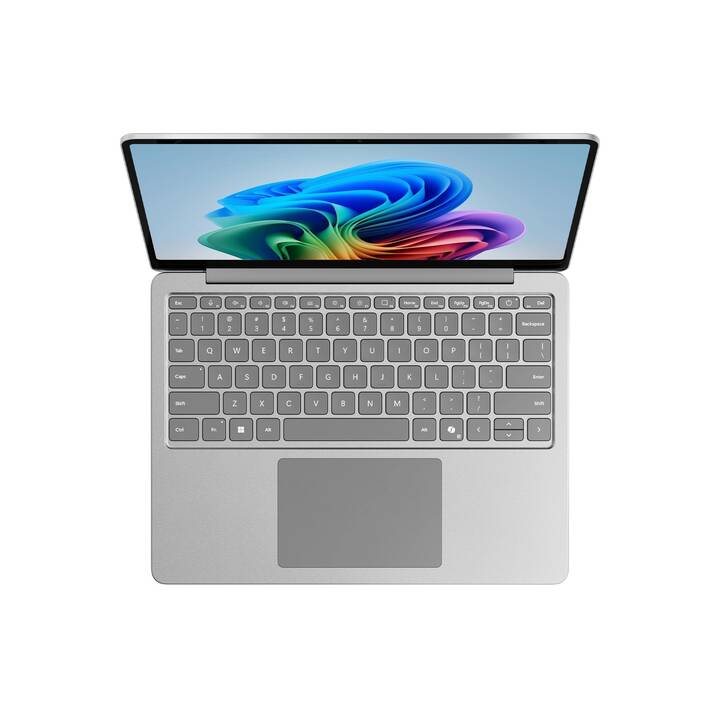 MICROSOFT Surface + M365 Copilot+PC (13", Snapdragon X Plus, 16 GB RAM ...