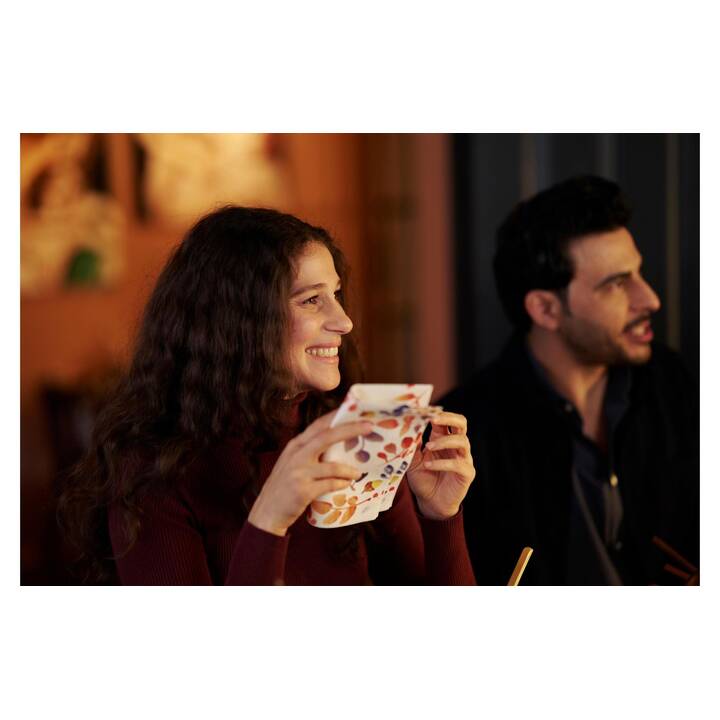 DUNI Serviette en papier Autumn Gradient (40 cm x 40 cm, 60 pièce ...