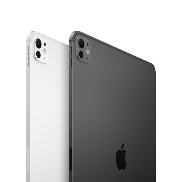 APPLE iPad Pro 13 WiFi + Cellular 2024 (13", 256 GB, 5G, Argent ...