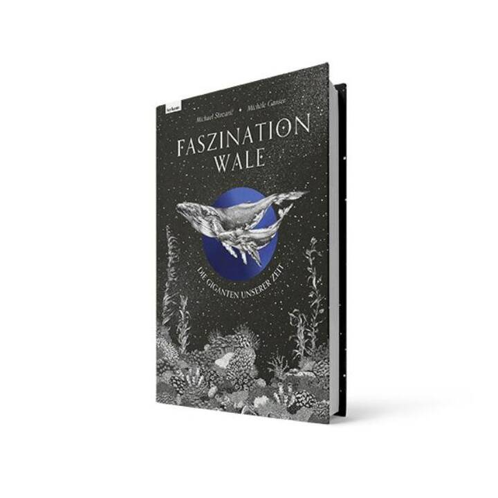 Faszination Wale - Die Giganten unserer Zeit - Interdiscount