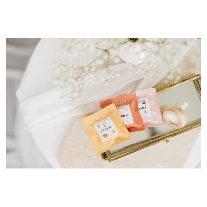 AVA & MAY Deodoranti auto Bahamas (Vanille, Monoi, Noix de coco ...