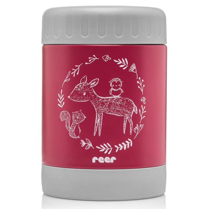 REER Récipients isothermes (300 ml, Plastique, Acier inox) - Interdiscount