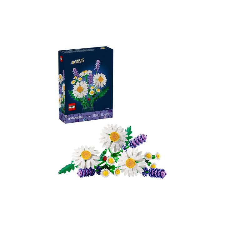 LEGO Botanicals Gänseblümchen Kunstblumen (11508) - Interdiscount
