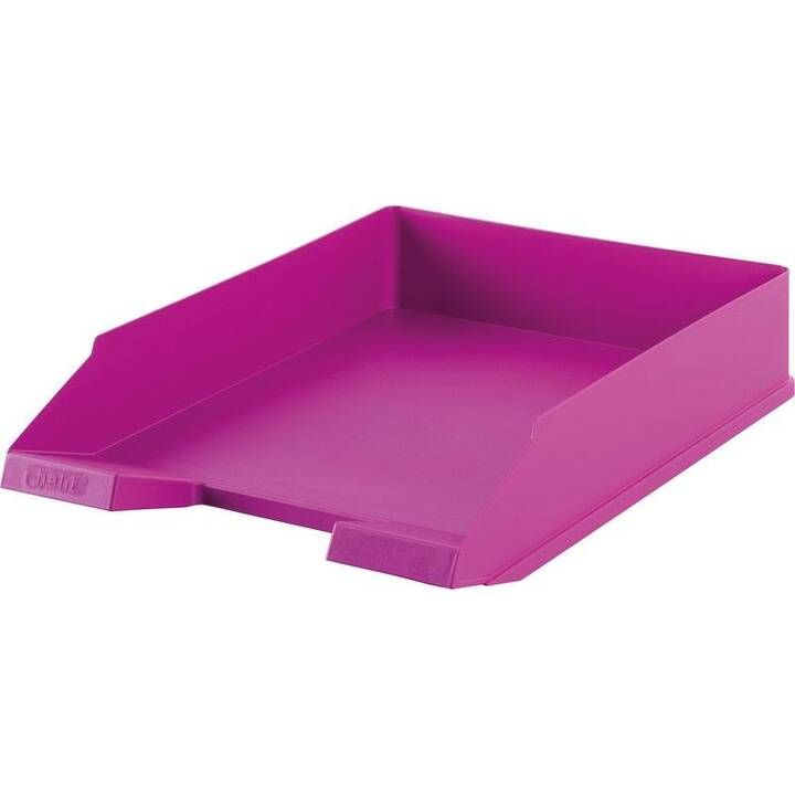 HELIT Briefkorb Green Staff (A4, Pink) - Interdiscount