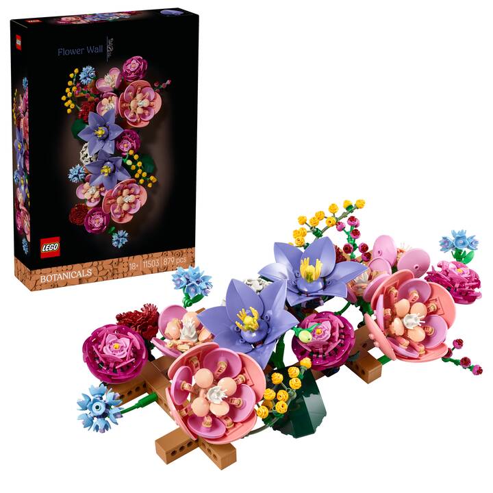 LEGO Botanicals Le Mur de Fleurs (11503, Difficile à trouver ...