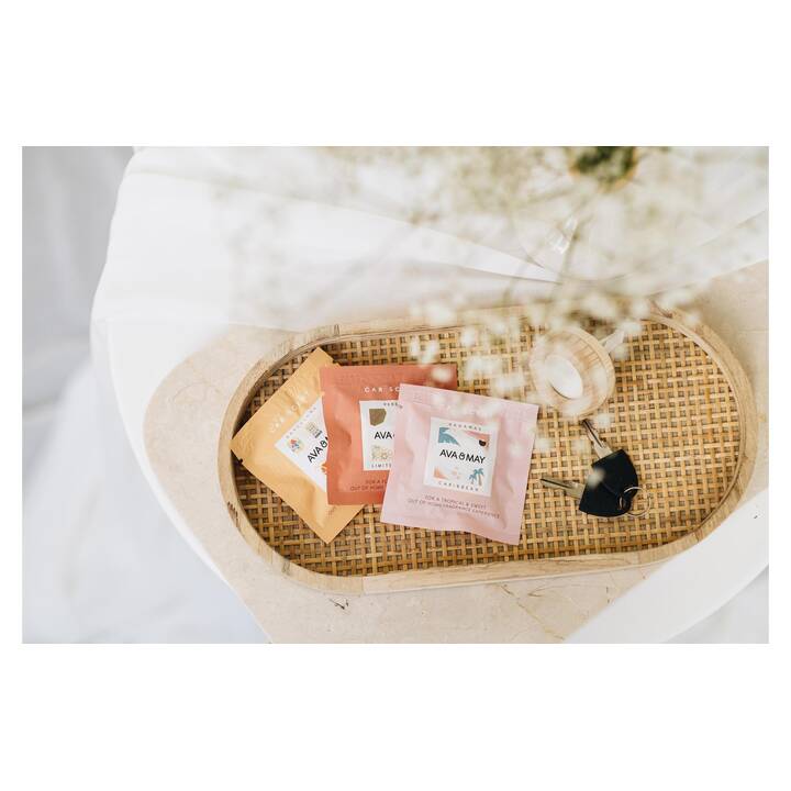 AVA & MAY Deodoranti auto Bahamas (Vanille, Monoi, Noix de coco ...