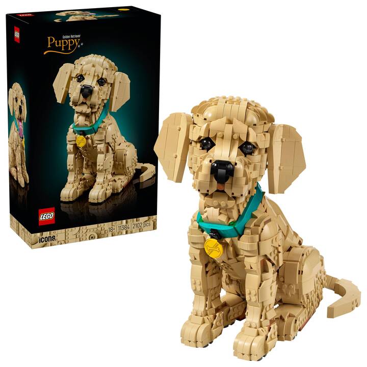 LEGO Icons Le chiot Golden Retriever (11384) - Interdiscount
