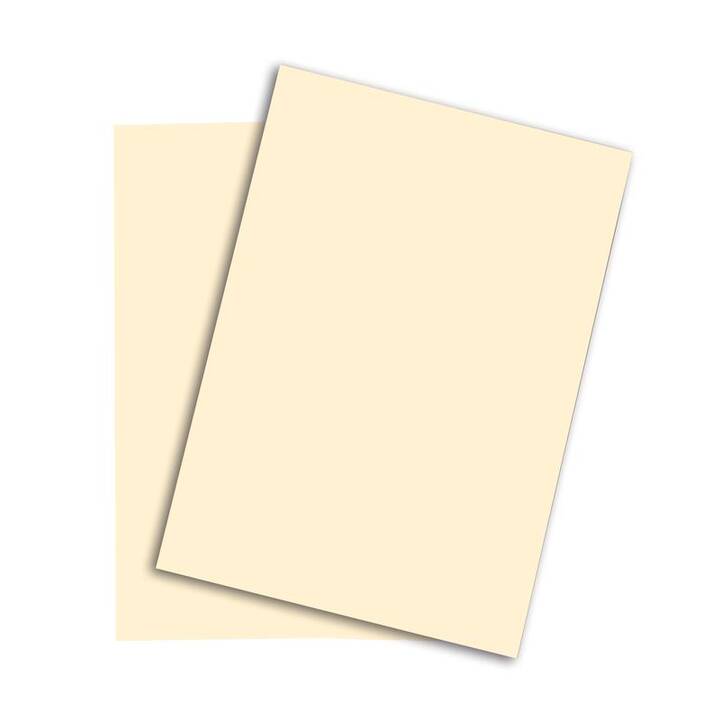 PAPYRUS Rainbow Farbiges Papier (250 Blatt, A3, 120 g/m2) - Interdiscount
