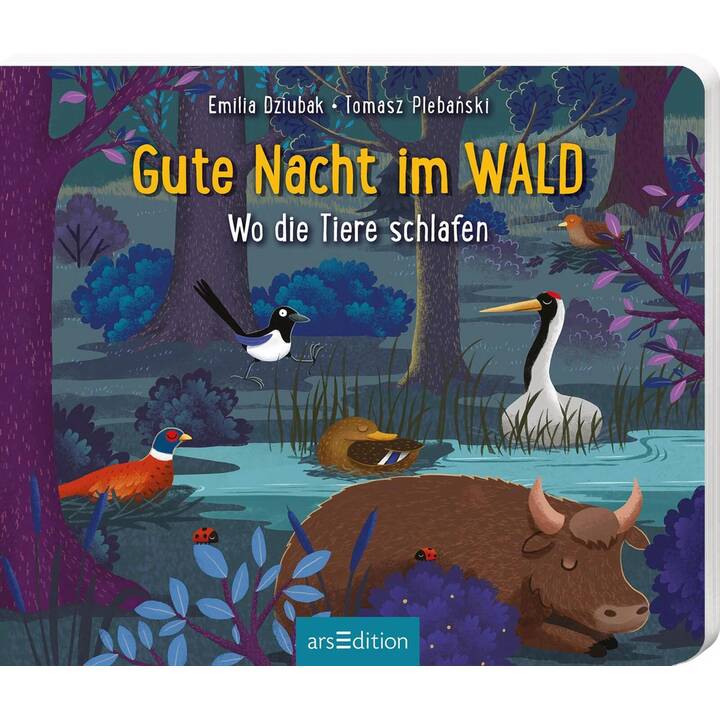 Gute Nacht im Wald. Wo die Tiere schlafen - Interdiscount
