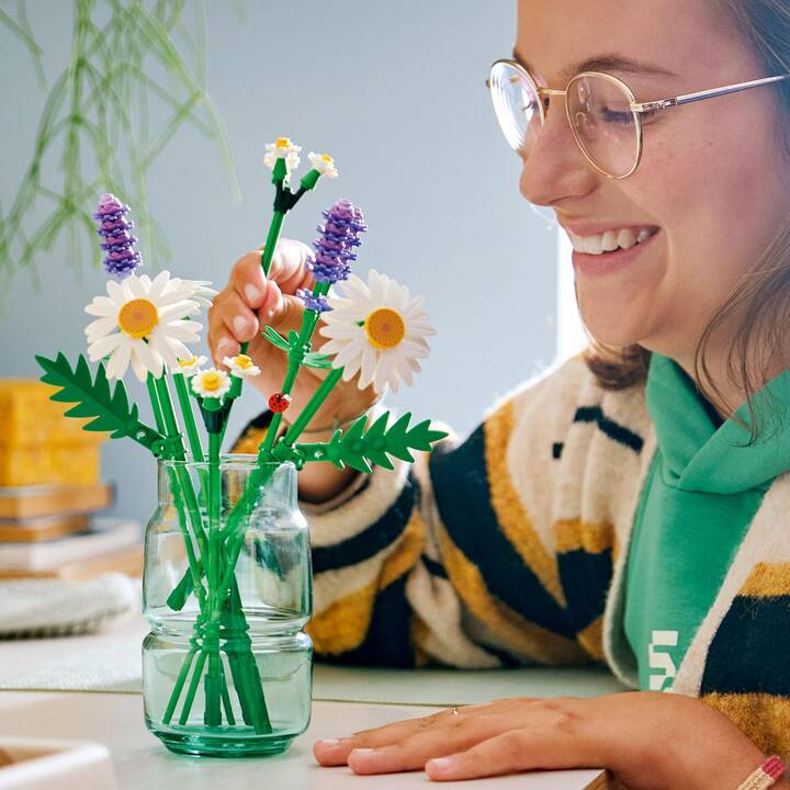 LEGO Botanicals Gänseblümchen Kunstblumen (11508) - Interdiscount